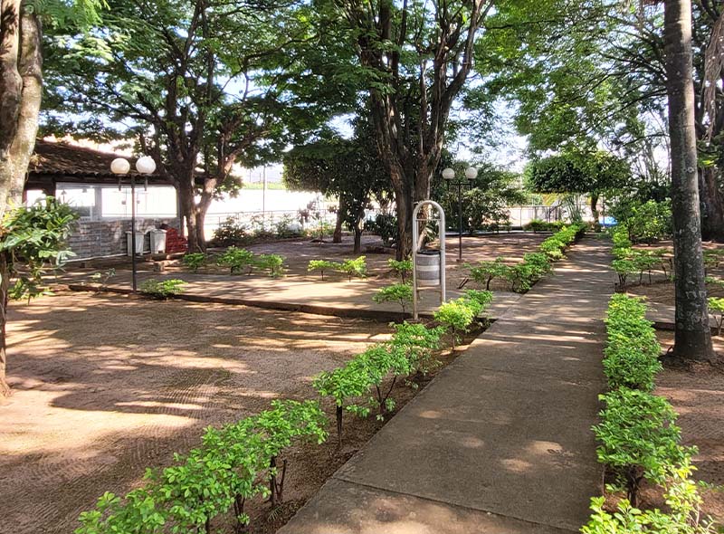 Estrutura | APCD Rio Preto